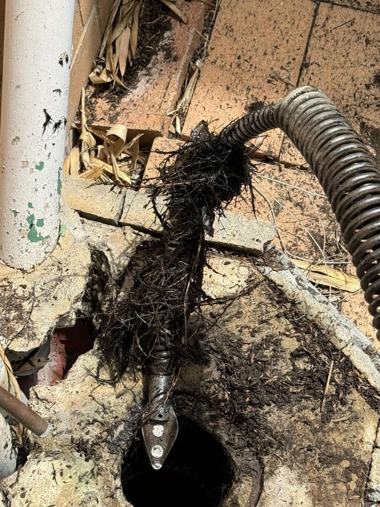 The Ultimate Guide to Fixing Blocked Drains - News Solartex