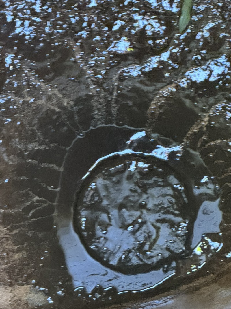 The Ultimate Guide to Fixing Blocked Drains - News Solartex